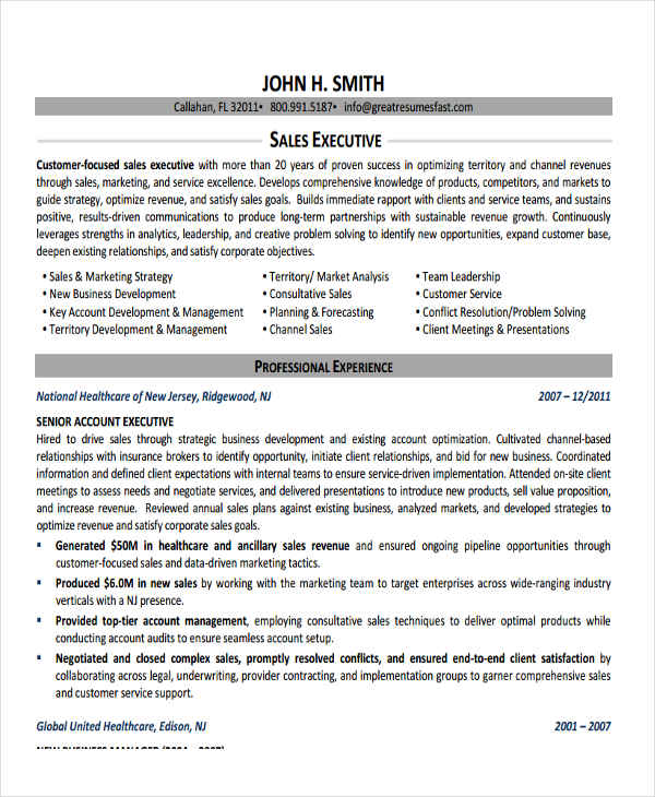 20+ Sales Resume Samples - PDF, DOC