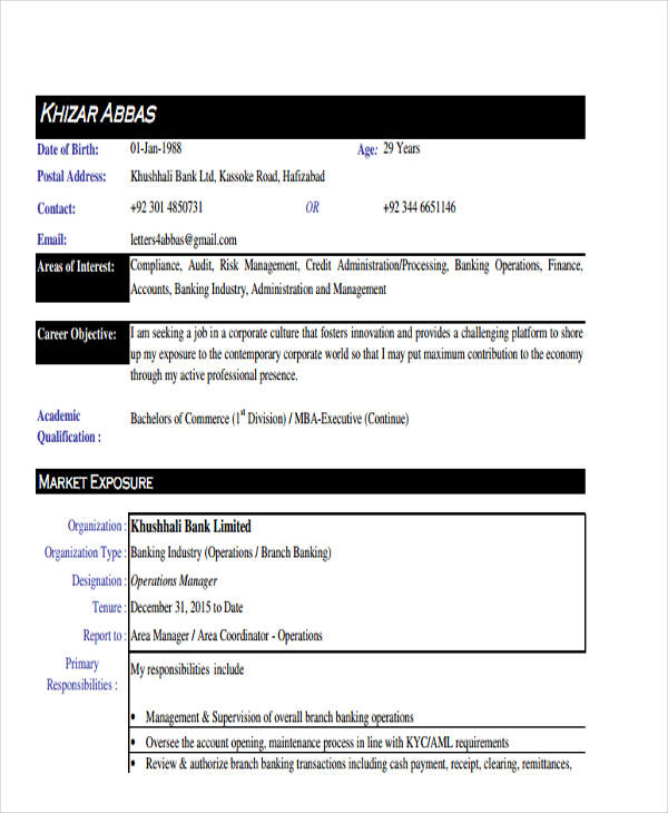 49+ Banking Resume Templates in Pdf