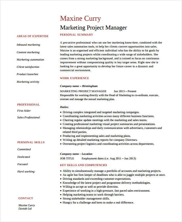 Marketing Resume Examples 47 Free Word PDF Documents Download