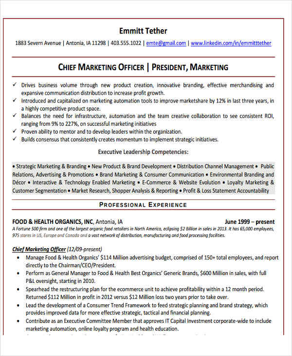 27+ Marketing Resume Templates in PDF