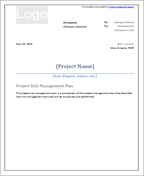 45+ Management Plan Templates - PDF, Word