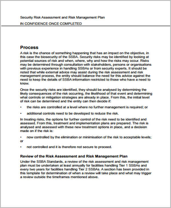 45+ Management Plan Templates - PDF, Word