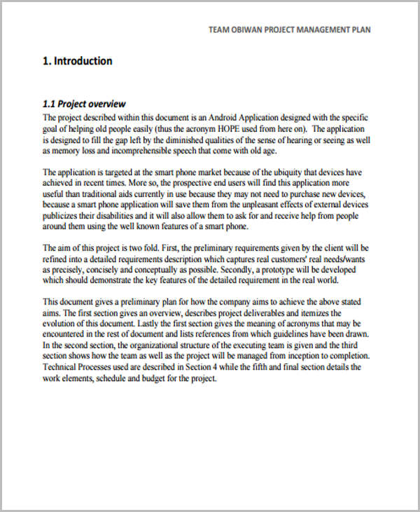 45+ Management Plan Templates - PDF, Word