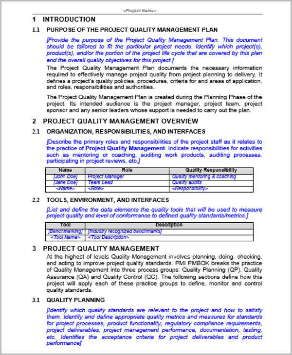 45+ Management Plan Templates - PDF, Word