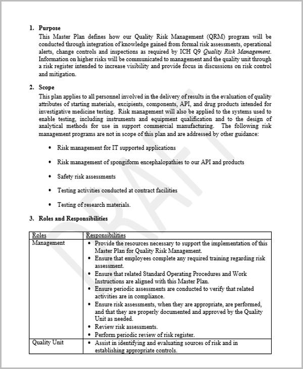 45+ Management Plan Templates - PDF, Word