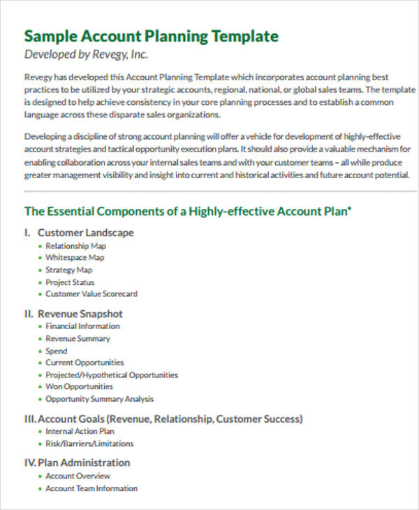 45+ Management Plan Templates - PDF, Word