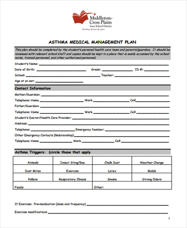 45+ Management Plan Templates - PDF, Word