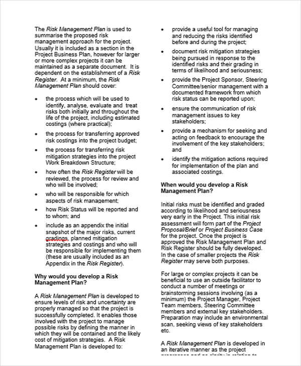 45+ Management Plan Templates - PDF, Word