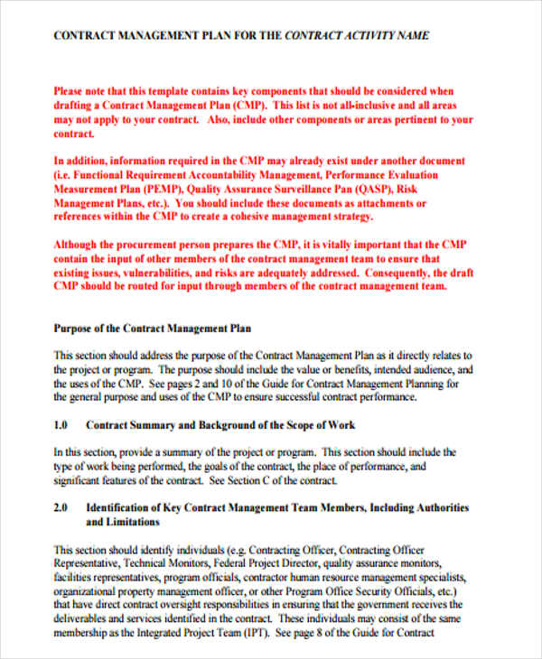 45+ Management Plan Templates - PDF, Word