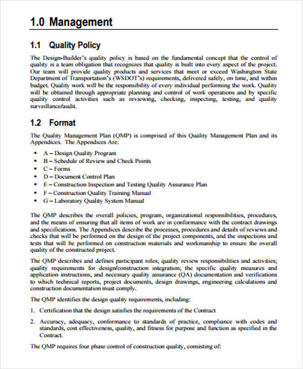 45+ Management Plan Templates - PDF, Word