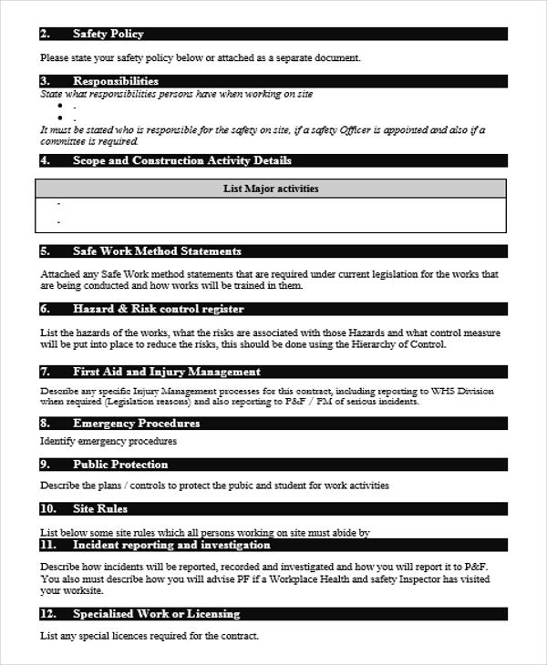 45+ Management Plan Templates - PDF, Word