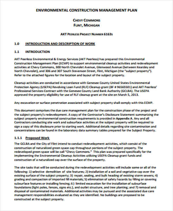 45+ Management Plan Templates - PDF, Word