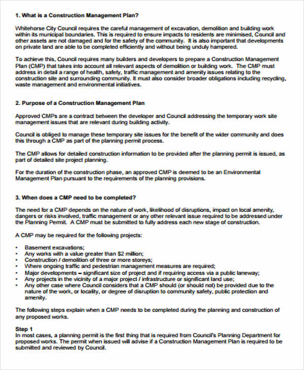 45+ Management Plan Templates - PDF, Word