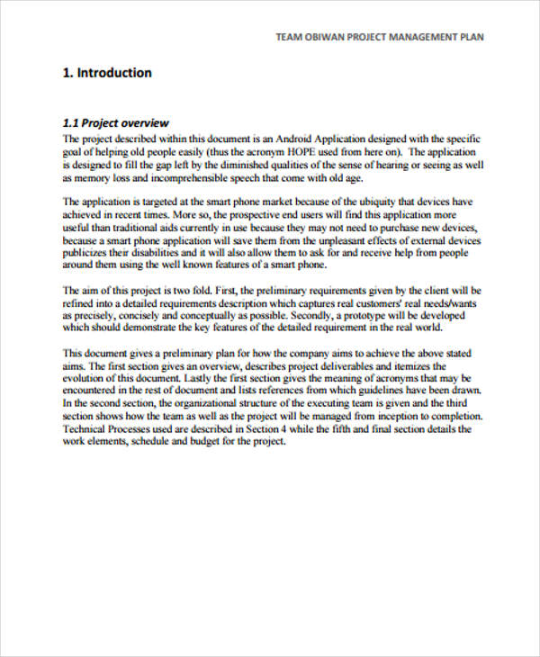 45 Management Plan Examples PDF Word Free Premium Templates