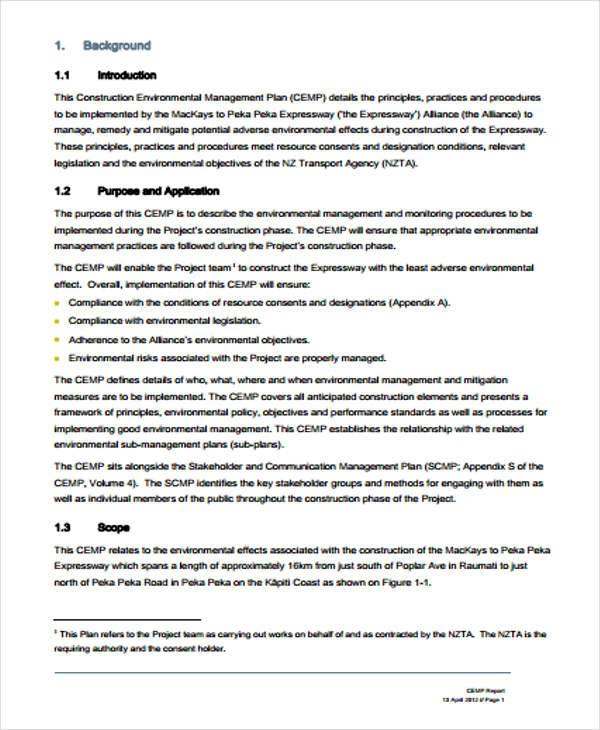 45+ Management Plan Examples - PDF, Word