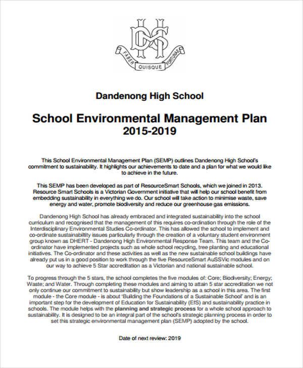 45+ Management Plan Examples - PDF, Word