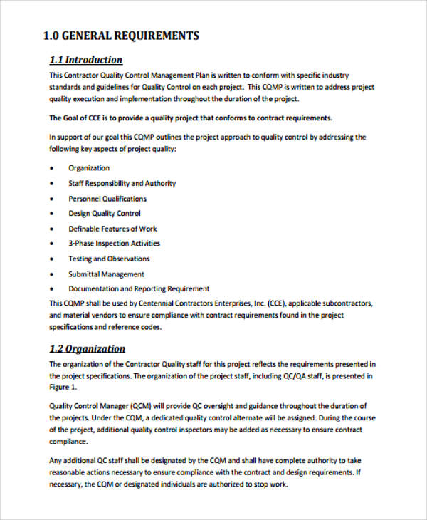 45+ Management Plan Examples - PDF, Word