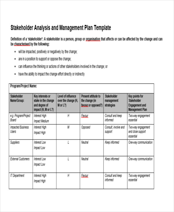 45+ Management Plan Examples - PDF, Word
