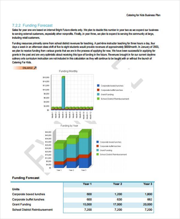 45+ Management Plan Examples - PDF, Word