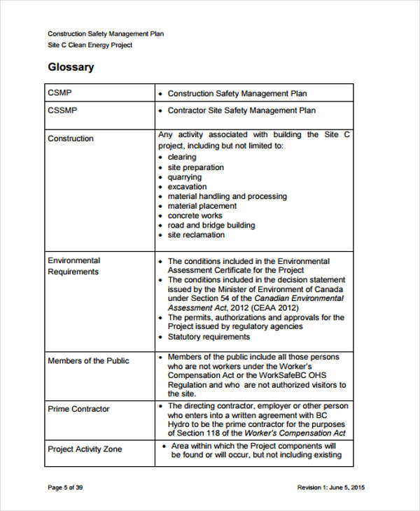 45+ Management Plan Examples - PDF, Word
