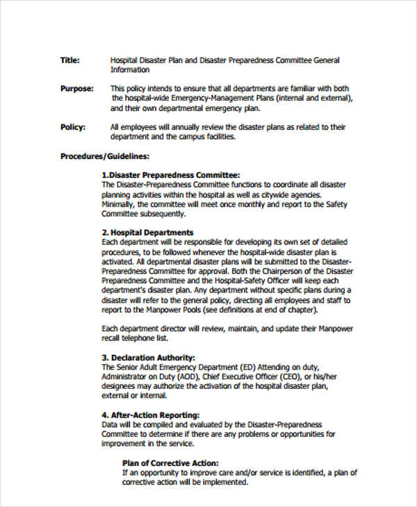 45+ Management Plan Examples - PDF, Word