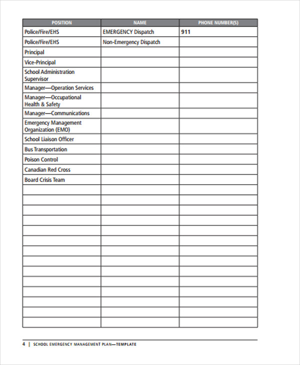 45+ Management Plan Examples - PDF, Word