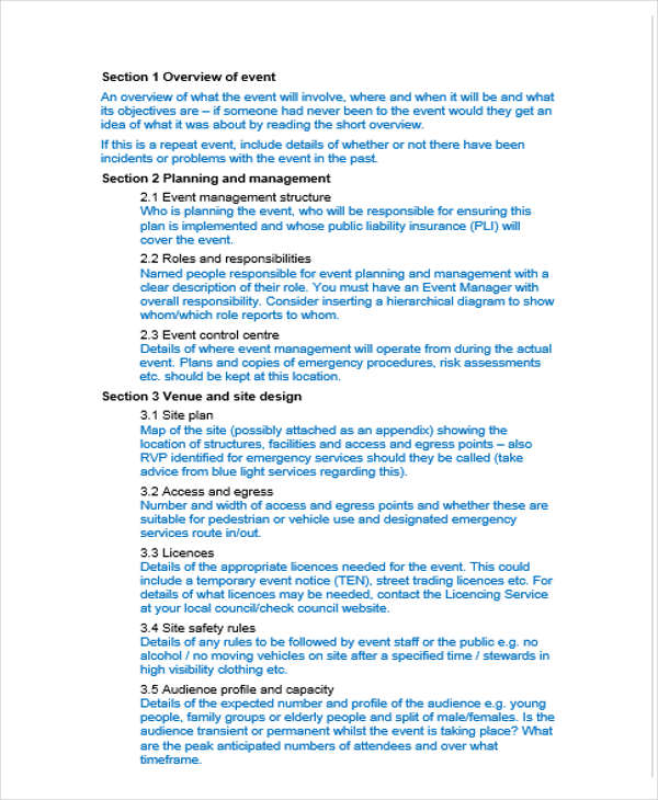 45+ Management Plan Examples - PDF, Word | Free & Premium Templates