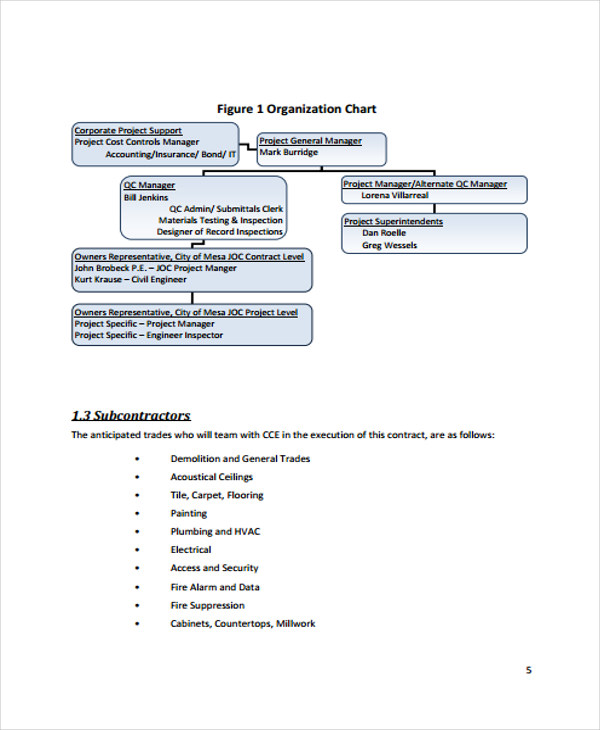 34+ Management Plan Templates in PDF