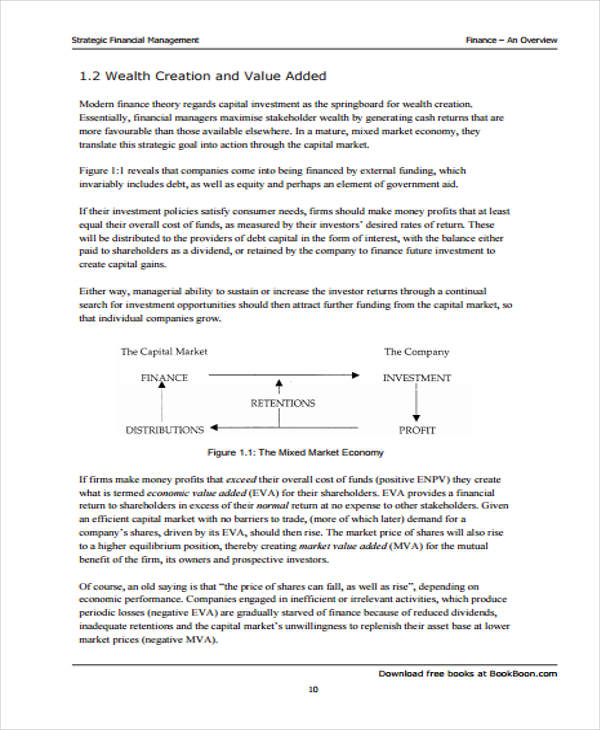 34+ Management Plan Templates in PDF