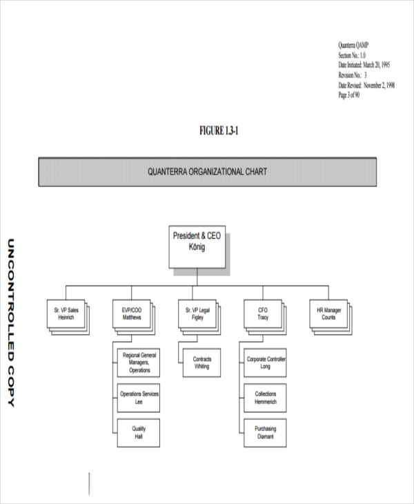 34+ Management Plan Templates in PDF
