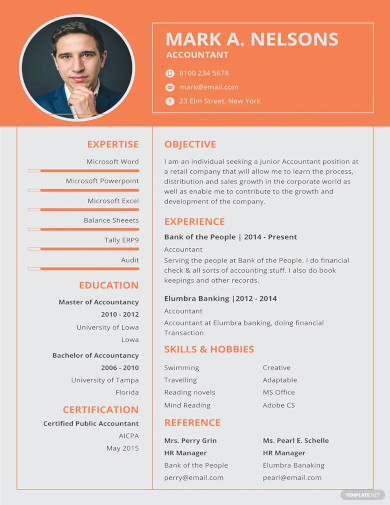 42+ Accountant Resume Templates in MS Word | In Design | Apple Pages ...