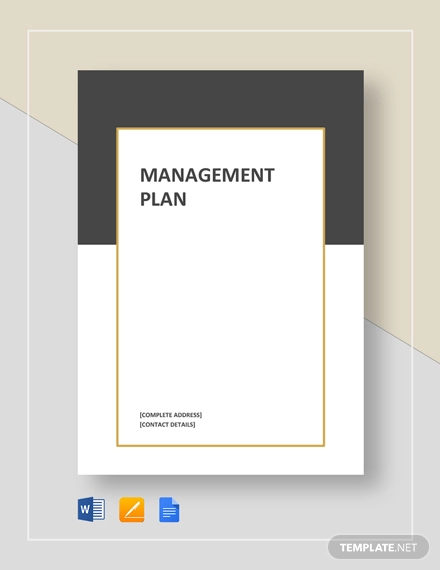 45+ Management Plan Examples - PDF, Word