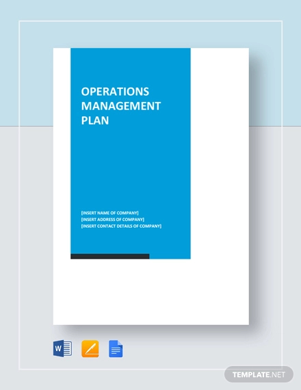45+ Management Plan Examples - PDF, Word