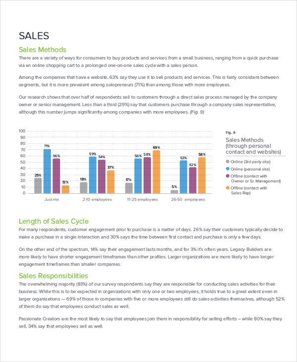25+ Sales Report Samples - Word, PDF, Docs