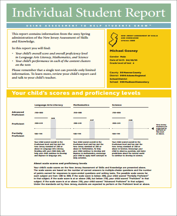 Student Report Templates - 14+ Free Word, PDF, Google Docs, Apple Pages ...