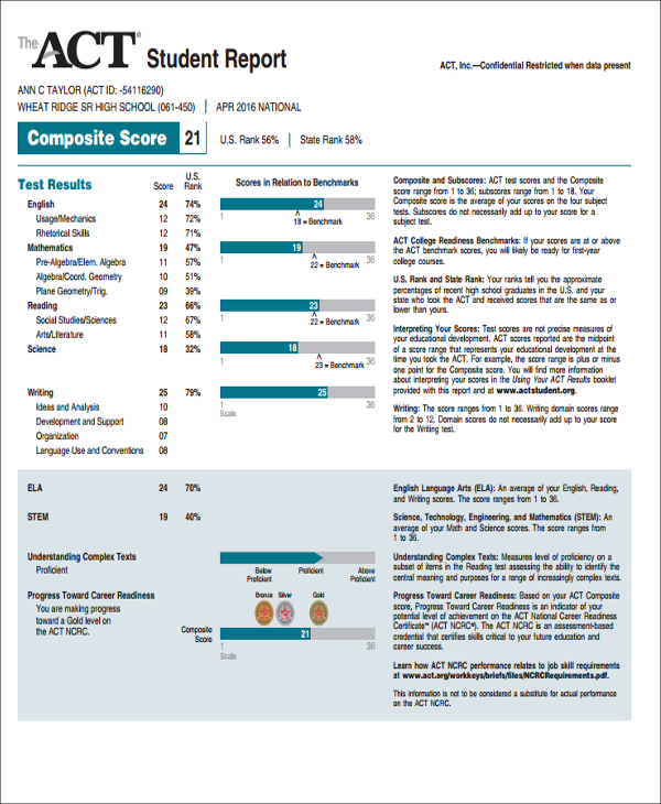 Student Report Templates - 14+ Free Word, PDF, Google Docs, Apple Pages ...