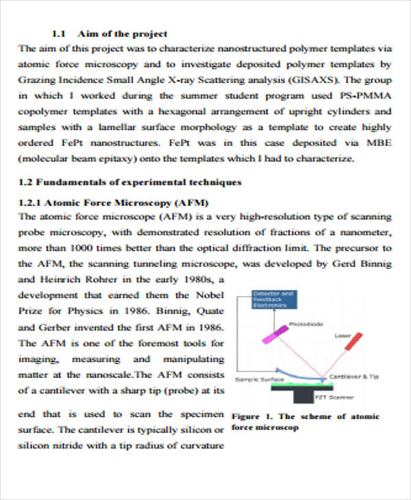 14+ Sample Student Report Templates - Word, PDF