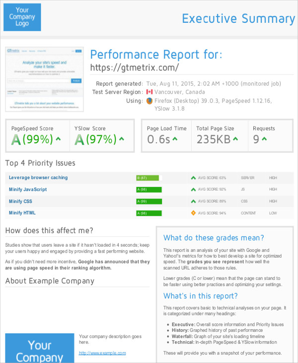 Performance Report Template - 17+ Free Sample, Example Format Download