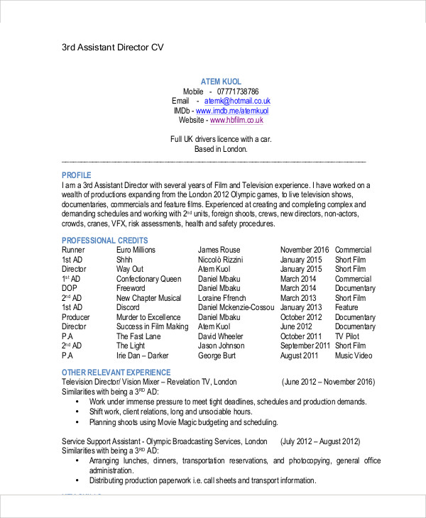 10+ Director Curriculum Vitae - Free Sample, Example Format Download