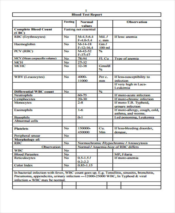 13 Test Report Templates PDF Google Docs Word Apple Pages Format Download