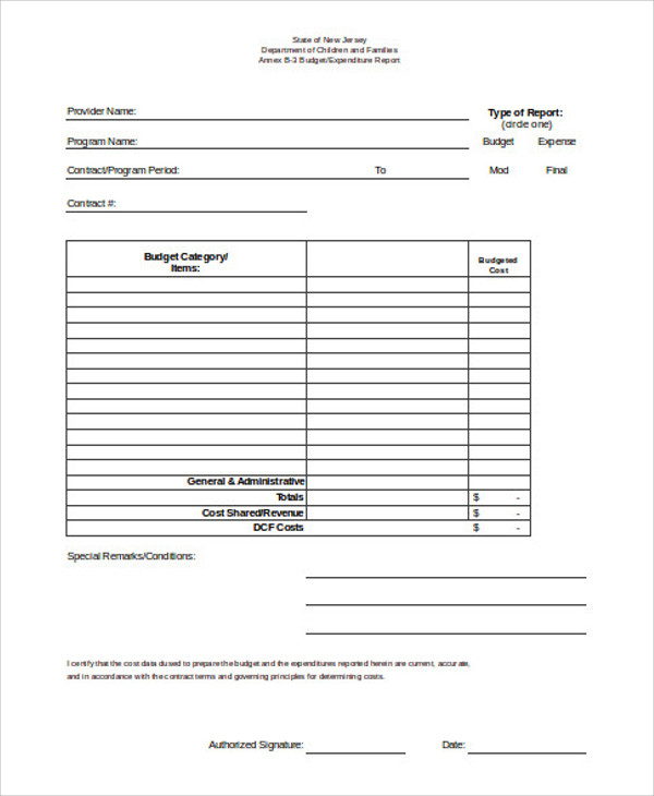 14+ Sample Budget Report Templates