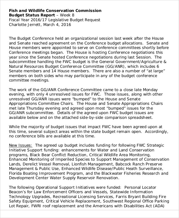 Budget Report Template - 14+ Free Word, PDF Format Download