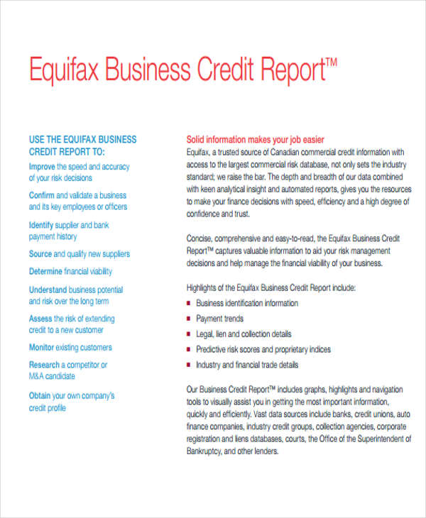 12+ Sample Credit Report Templates- Docs, Word, Pages