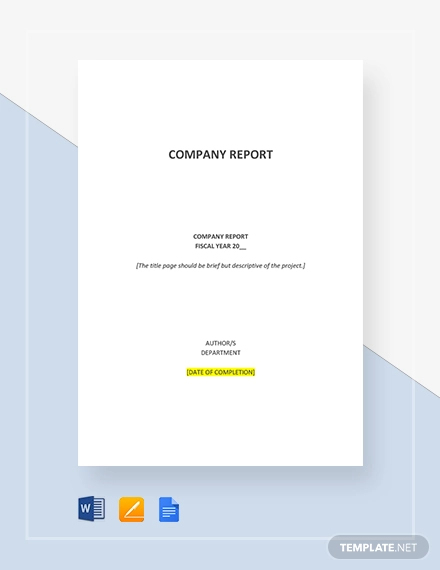 22+ Sample Company Reports- PDF, Word
