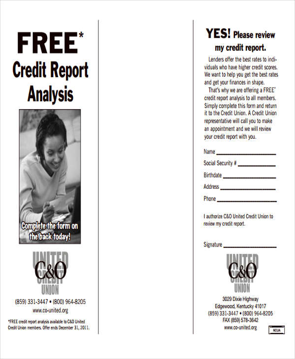 12+ Sample Credit Report Templates- Docs, Word, Pages