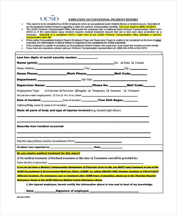 37+ Report Templates in PDF