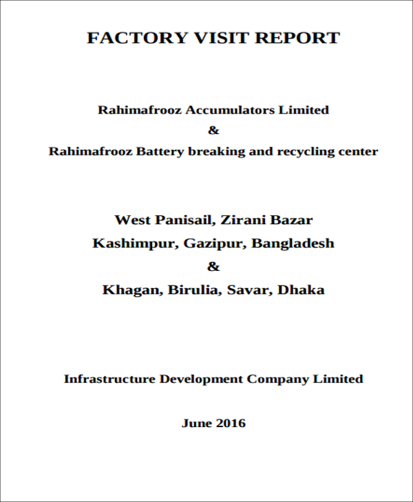 15+ Sample Visit Reports - Word, PDF, Pages