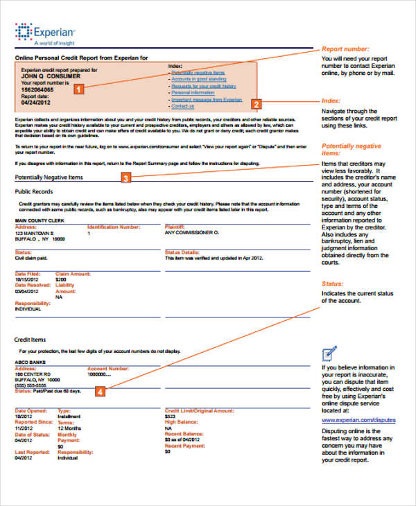 12+ Sample Credit Report Templates- Docs, Word, Pages