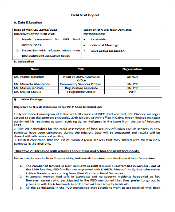 15 Sample Visit Reports Word PDF Pages