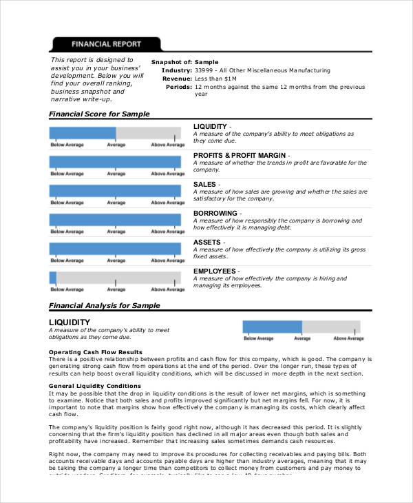 36+ Report Formats - Word, PDF